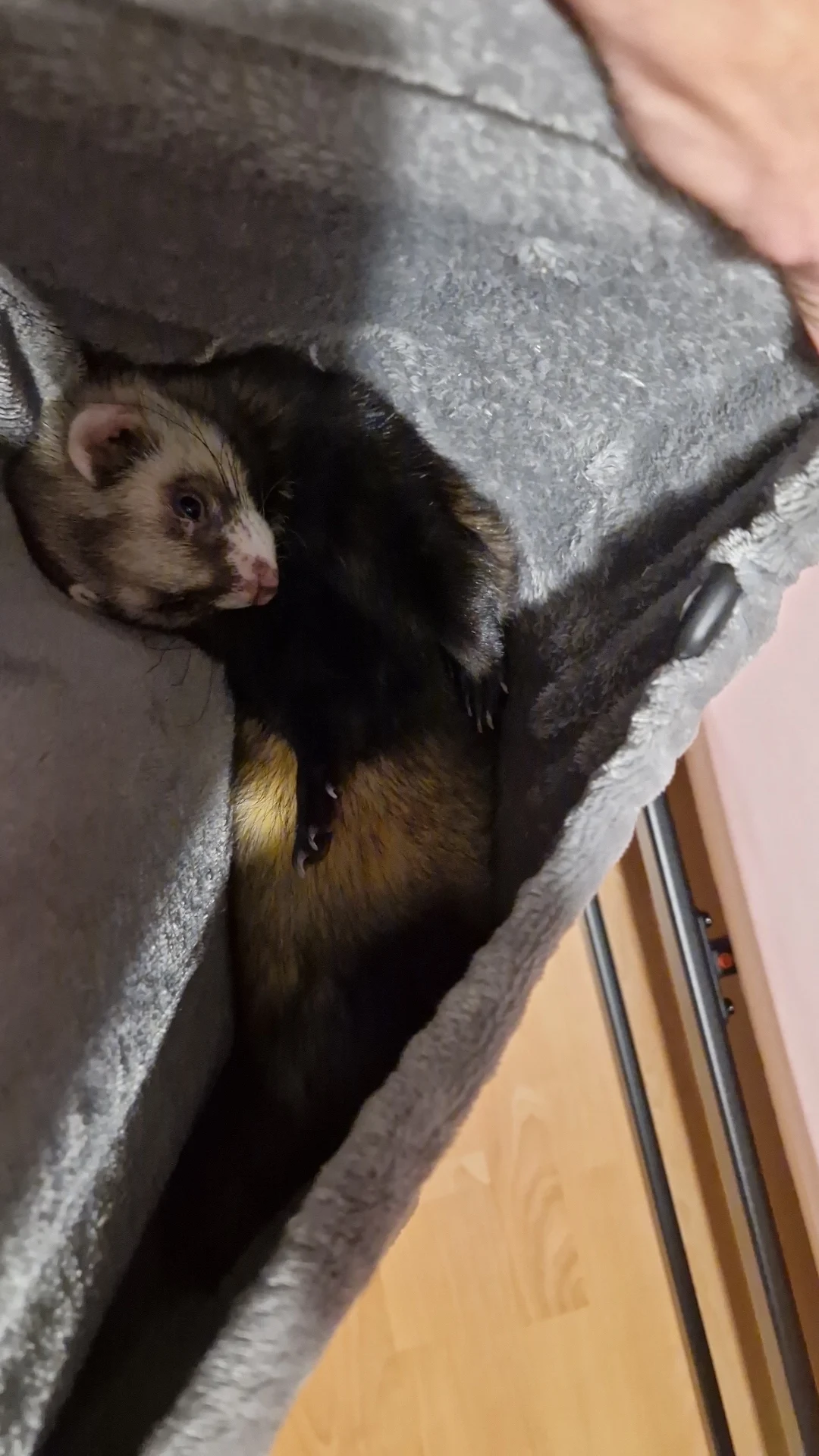 Big scout boy just chilling 😎 | Scrolller