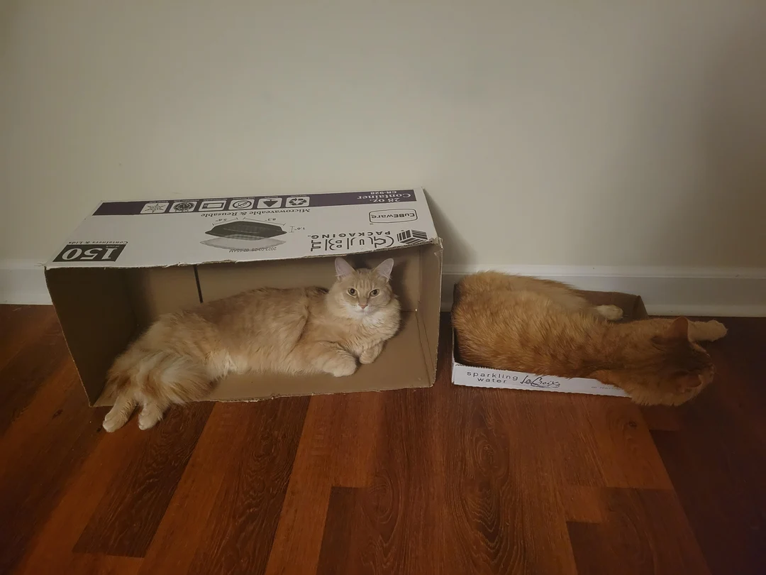 My traps caught a Zigzag and a Percy | Scrolller