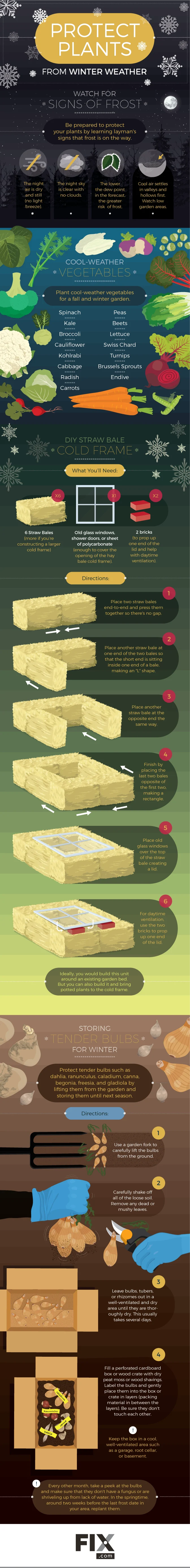 Protect Plants from Winter Weather | Scrolller