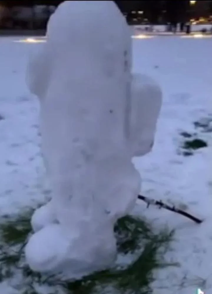 Don't put your dick in the among us snowman | Scrolller