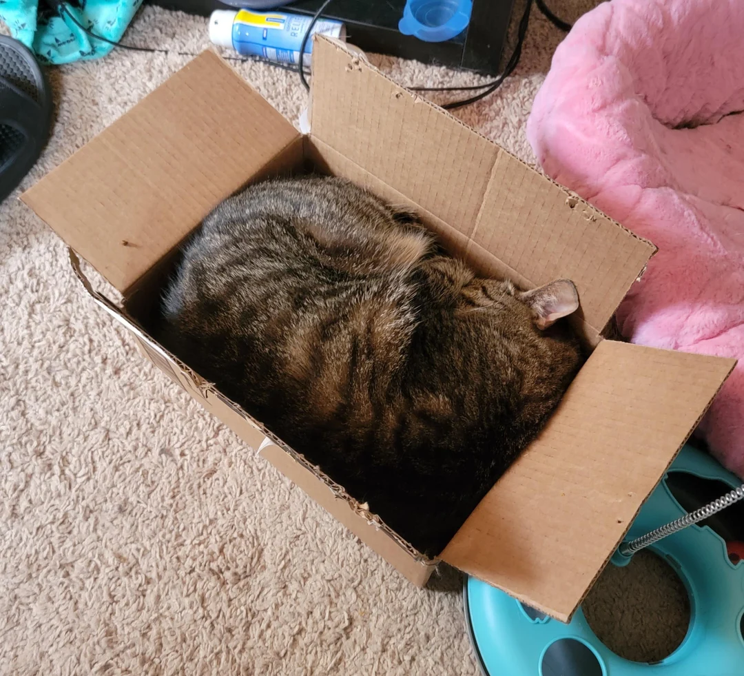 All packed and ready to ship | Scrolller