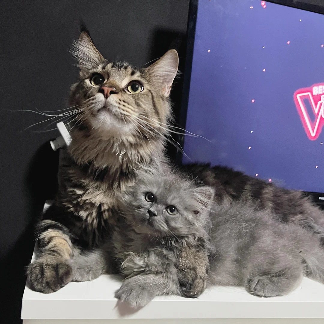 Big floof with a small floof. | Scrolller