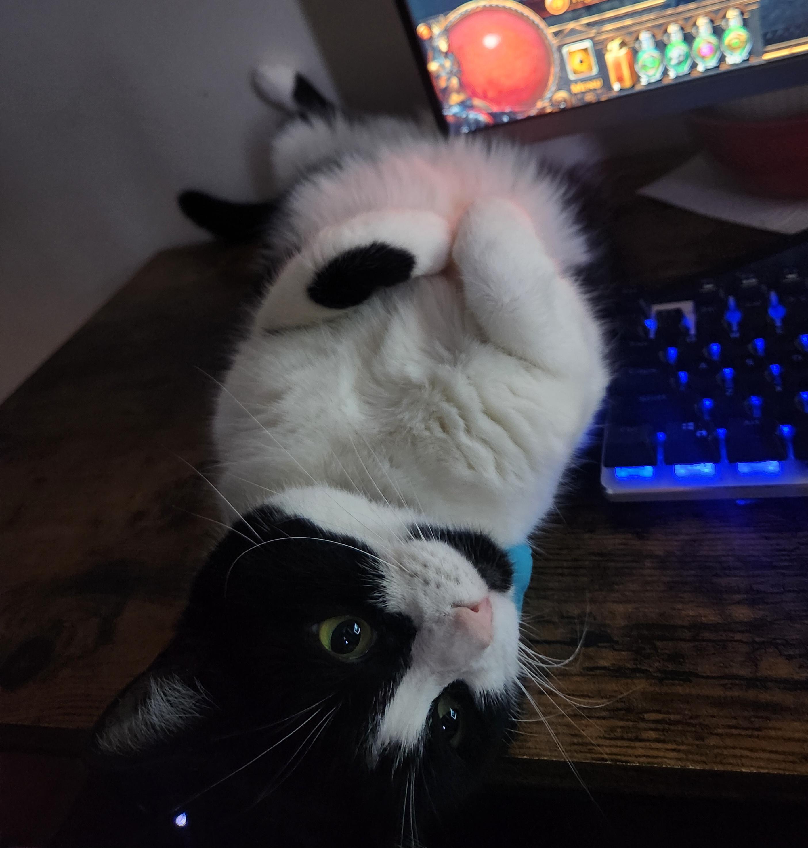 She'll Never Know The Cold | Scrolller