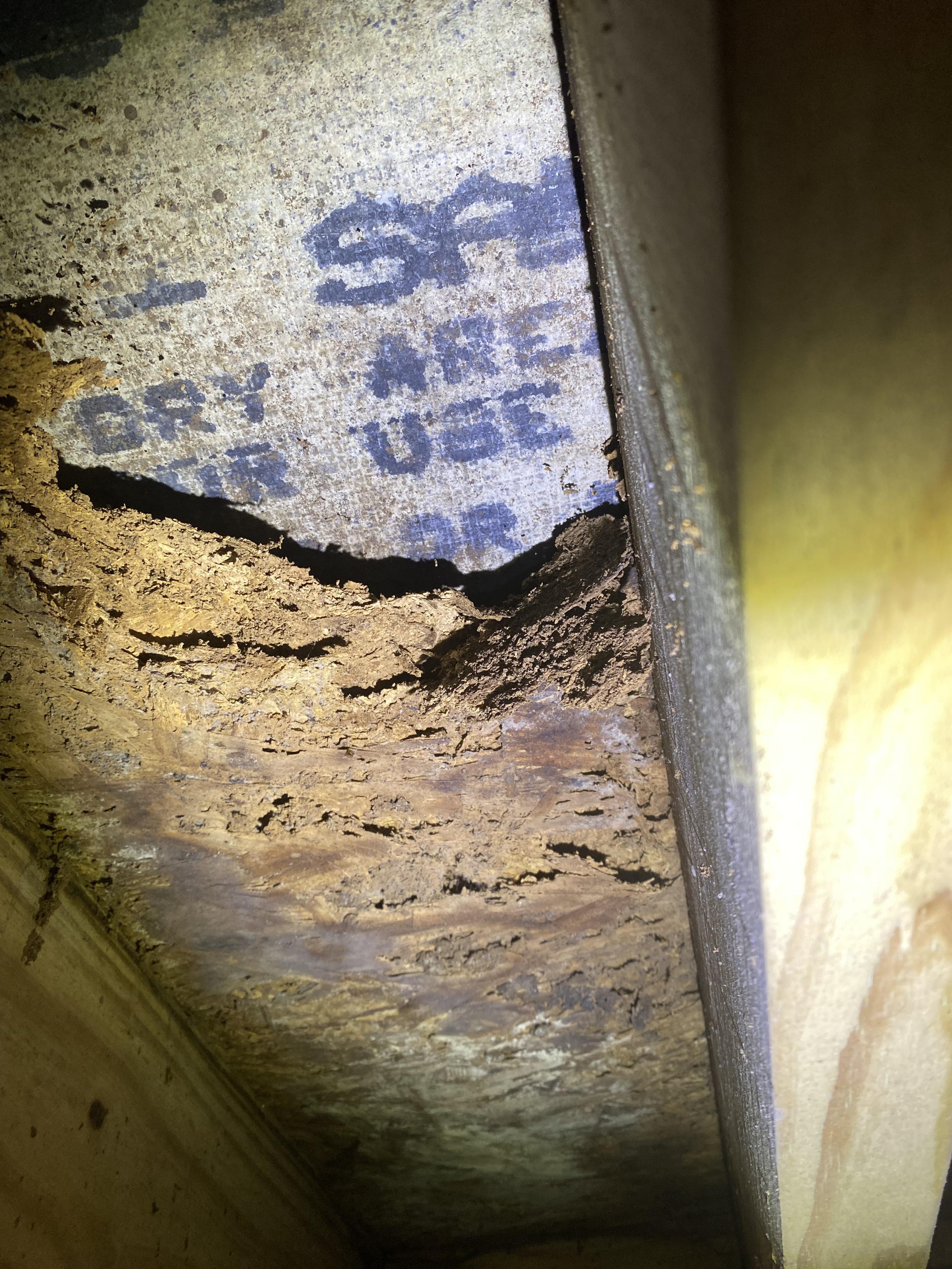 Bathroom subfloor repair needs | Scrolller