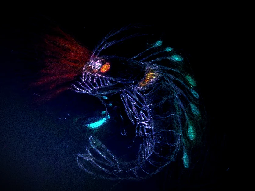 [OC] The Undine, Fear the Depths | Scrolller