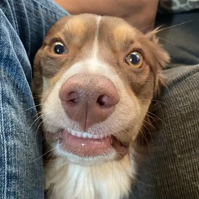 My crazy little pee-pee princess | Scrolller