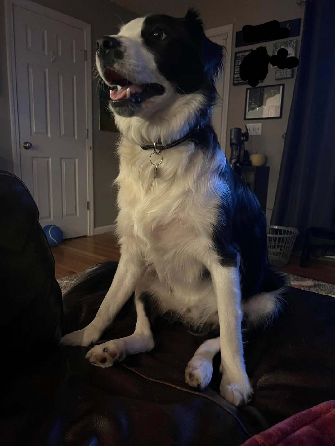 He sit a little goofy | Scrolller