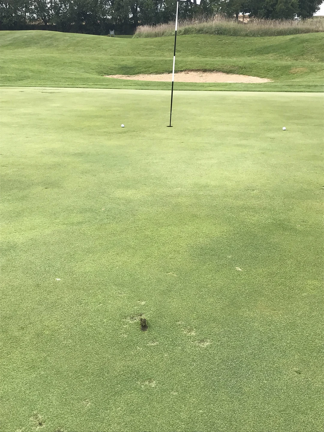 Birthday golf | Scrolller