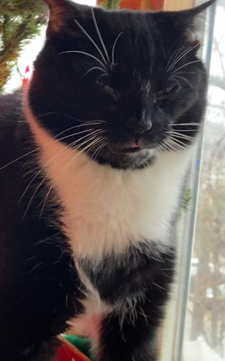 caught this unfortunate (very amusing) picture of sully | Scrolller