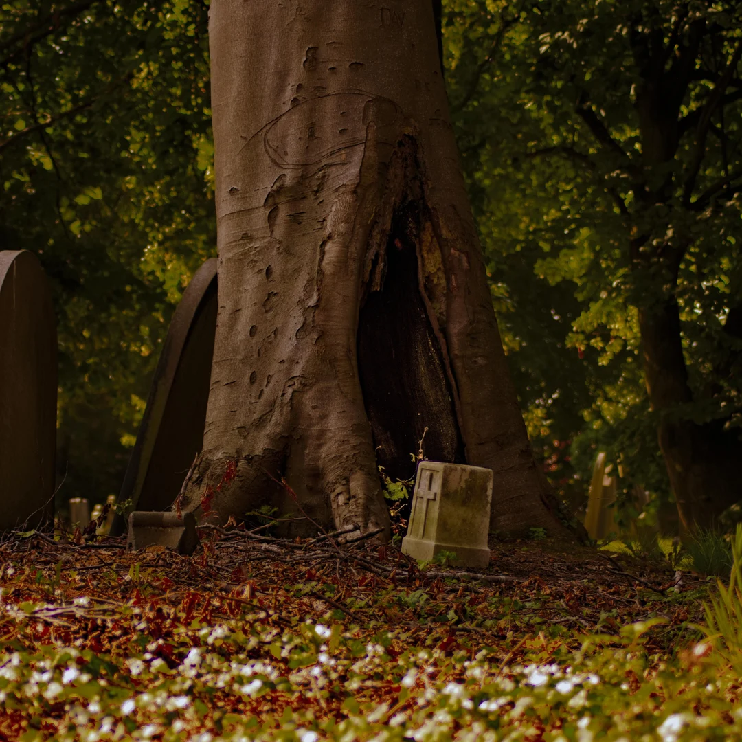 Not the usual but really liked this on my journey :) | Scrolller