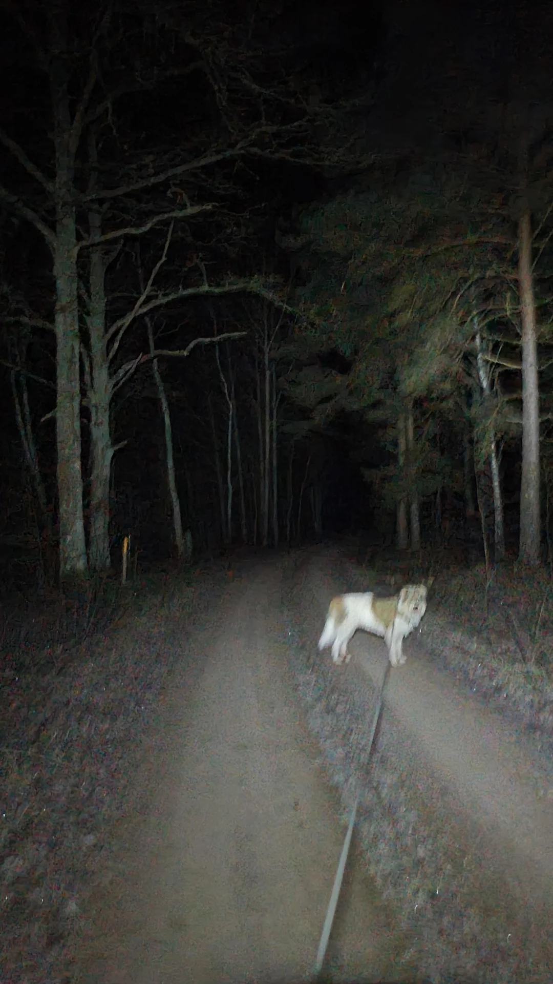 Swedish winter | Scrolller