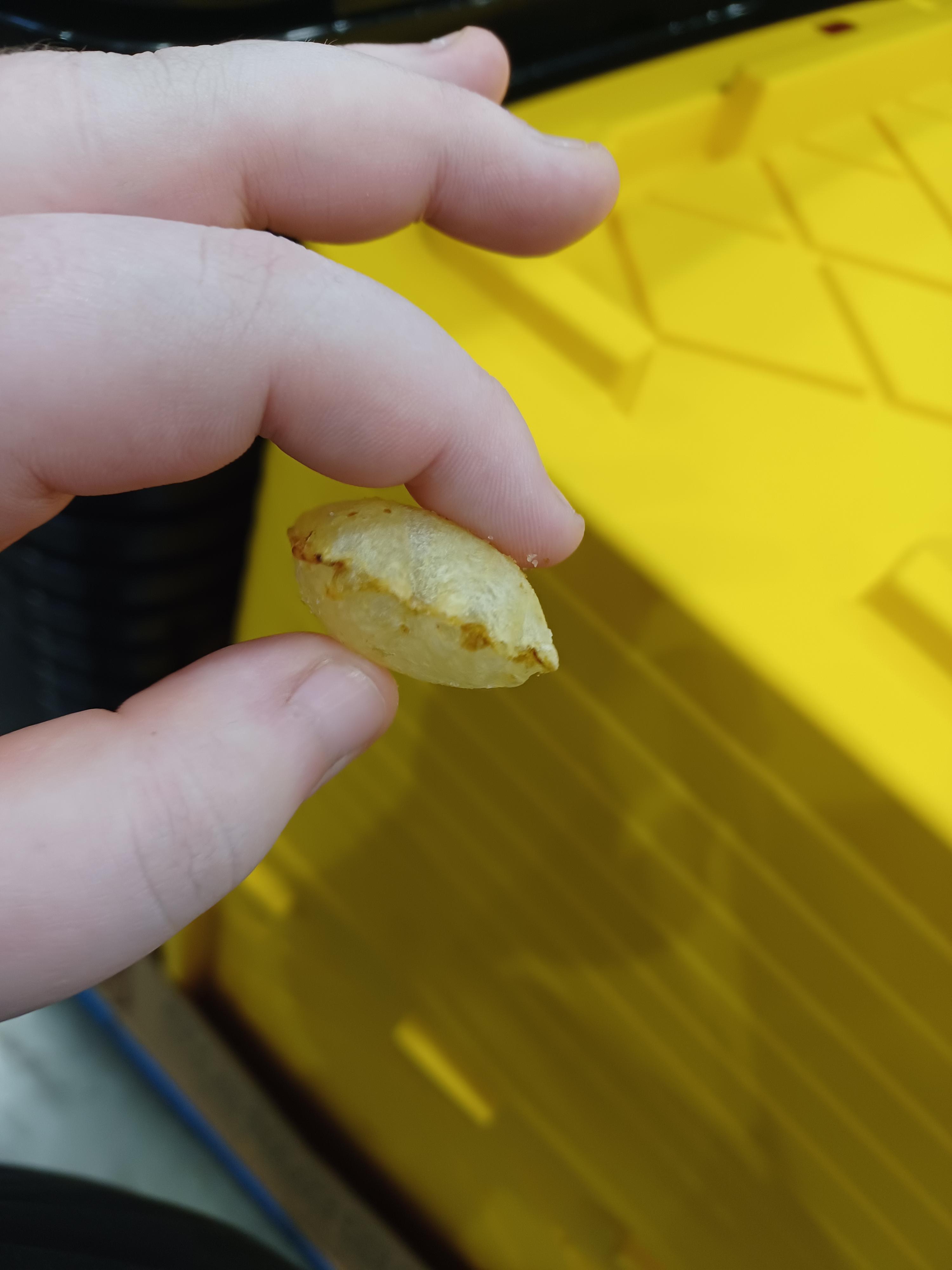 This entire chip is an air bubble | Scrolller