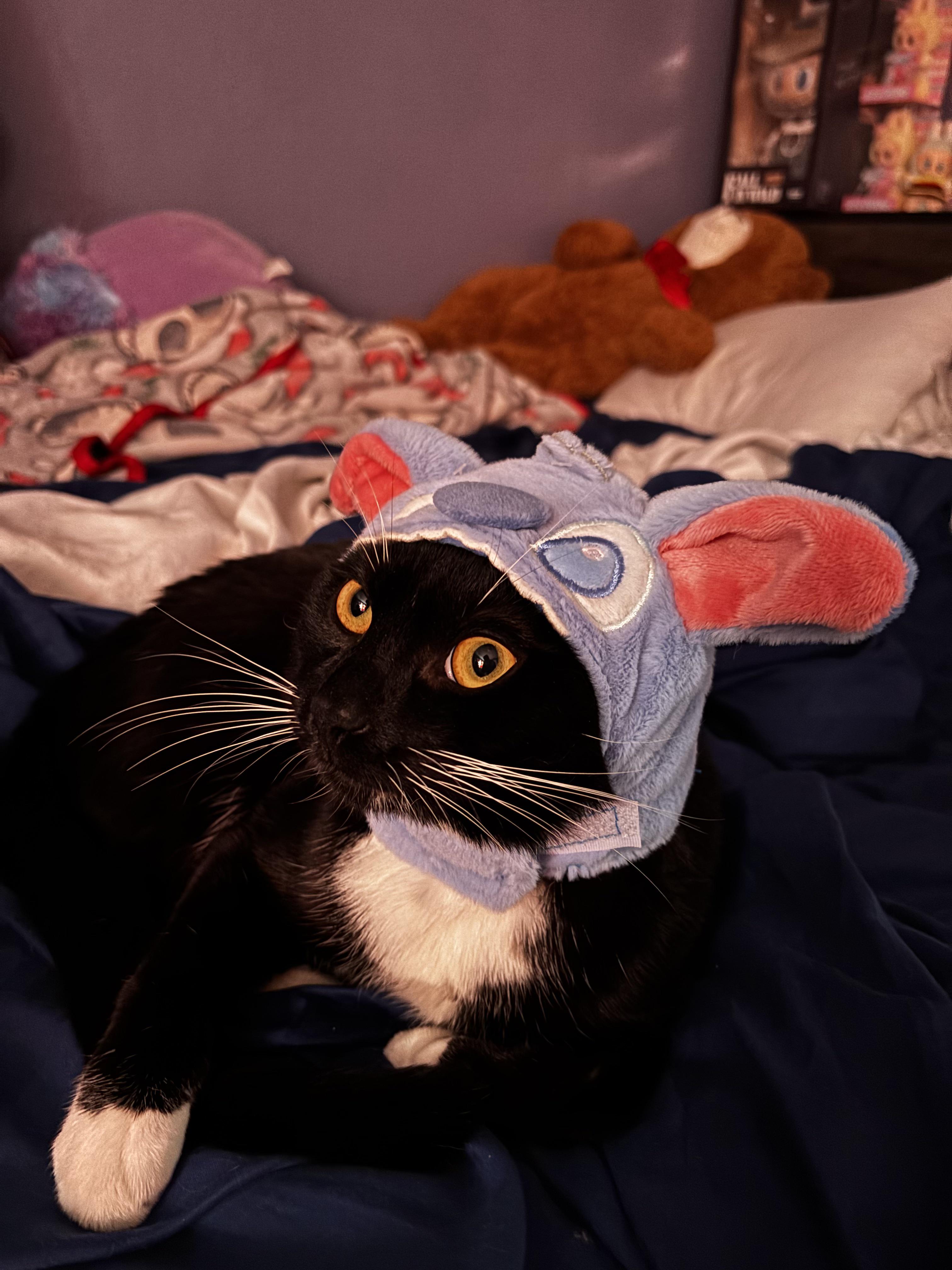 Now loading ⏳ | Scrolller