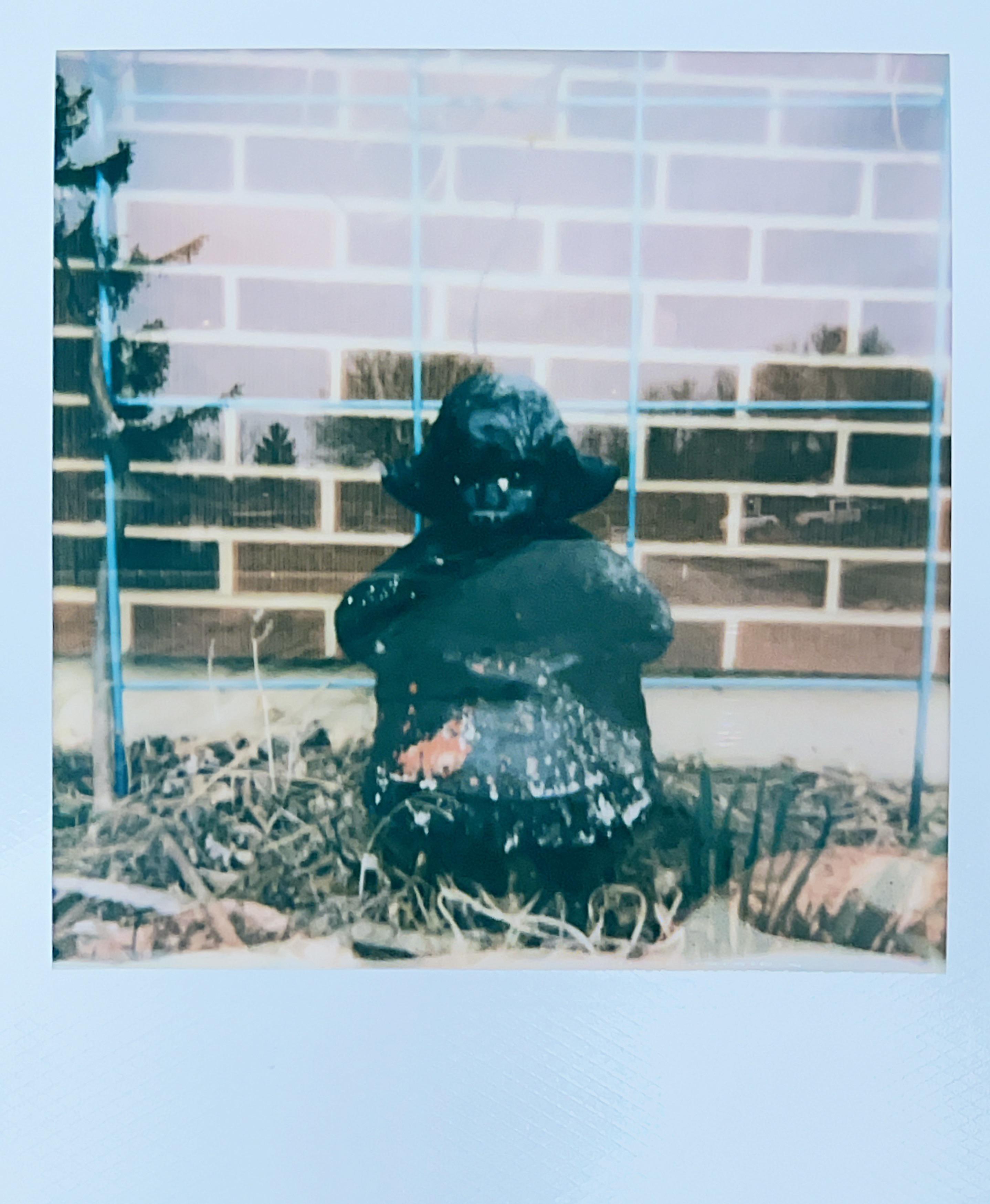 First double exposure on my Now... | Scrolller