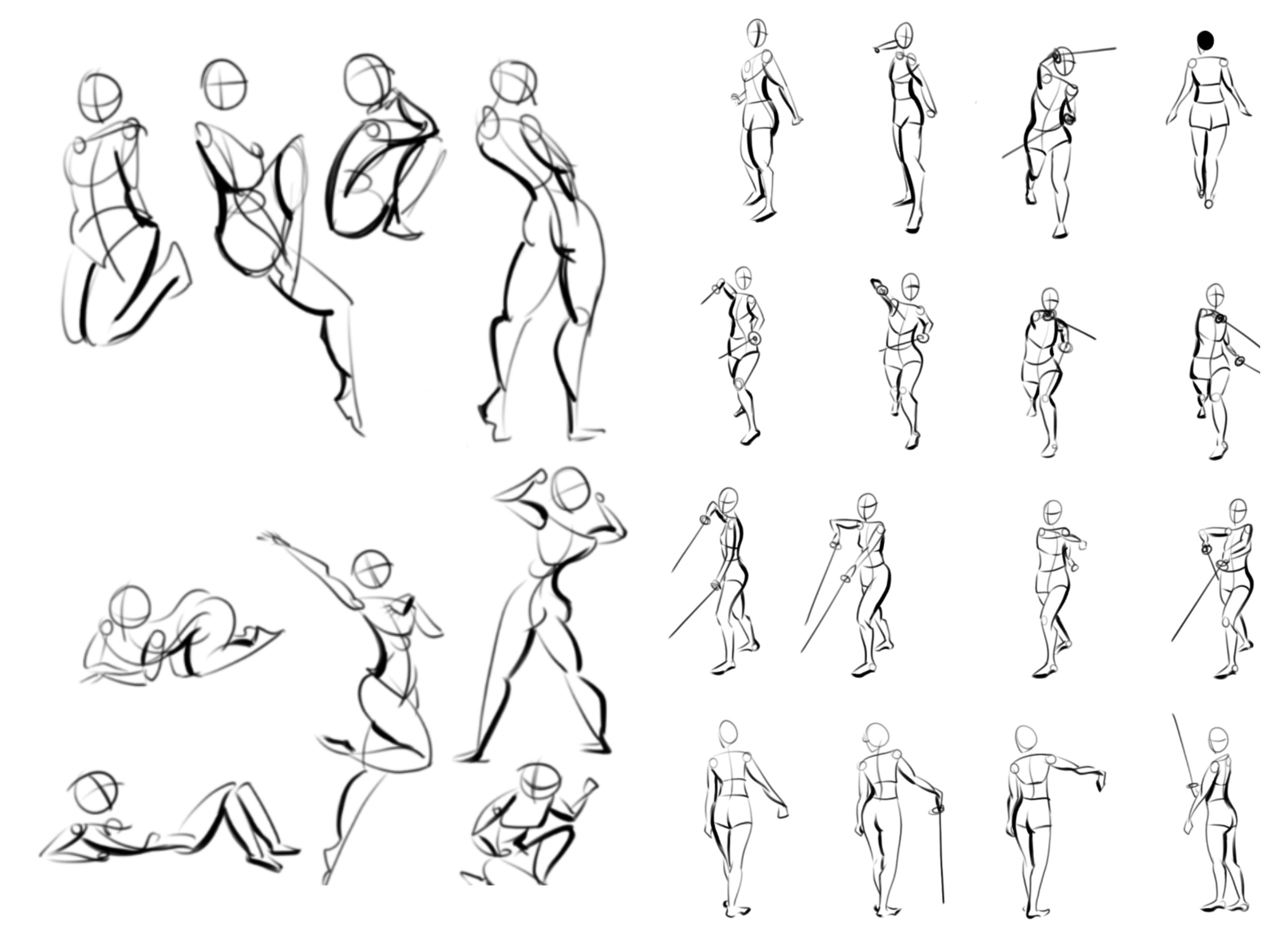 Day 1 of learning anatomy | Scrolller