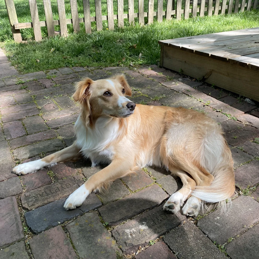 She’s channeling her model vibes today | Scrolller