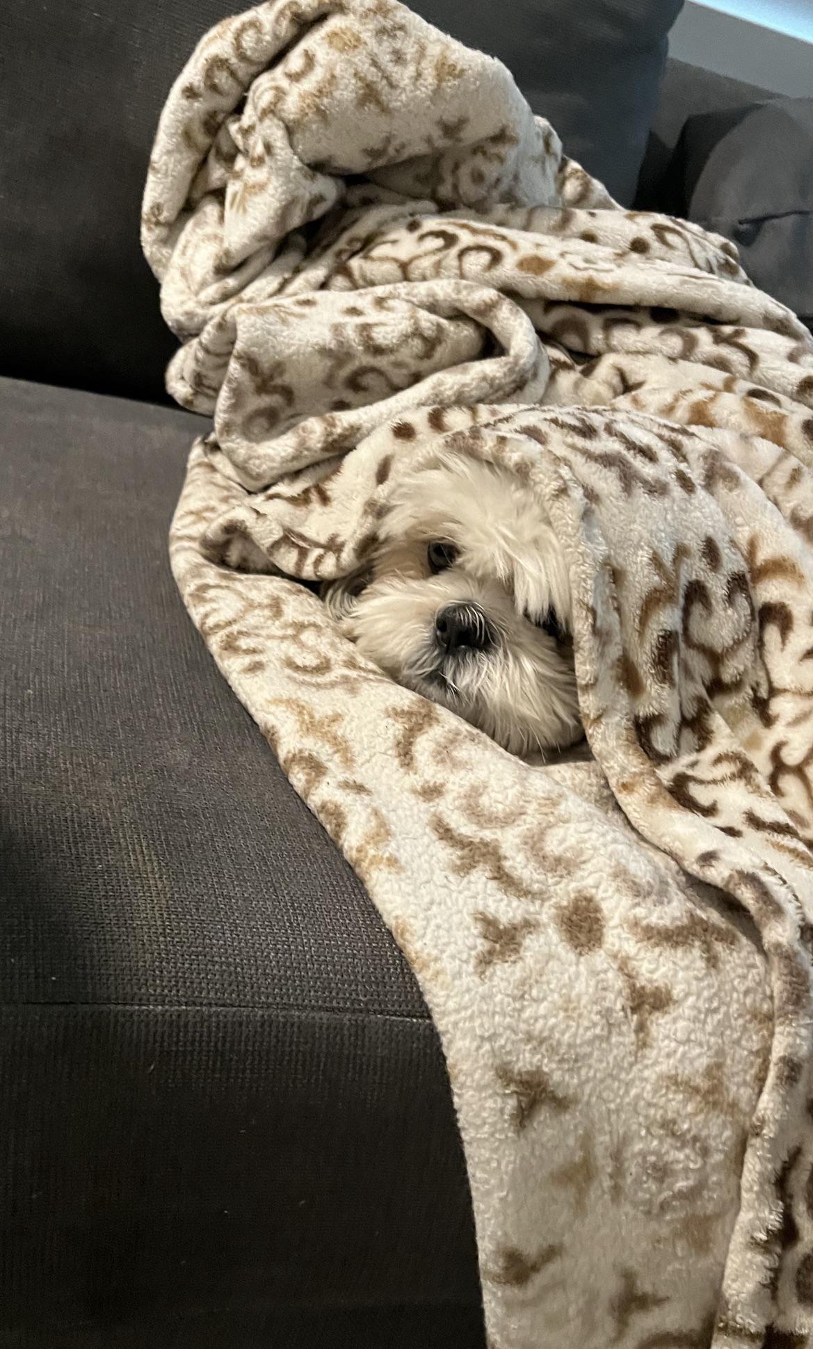 Incognito. | Scrolller