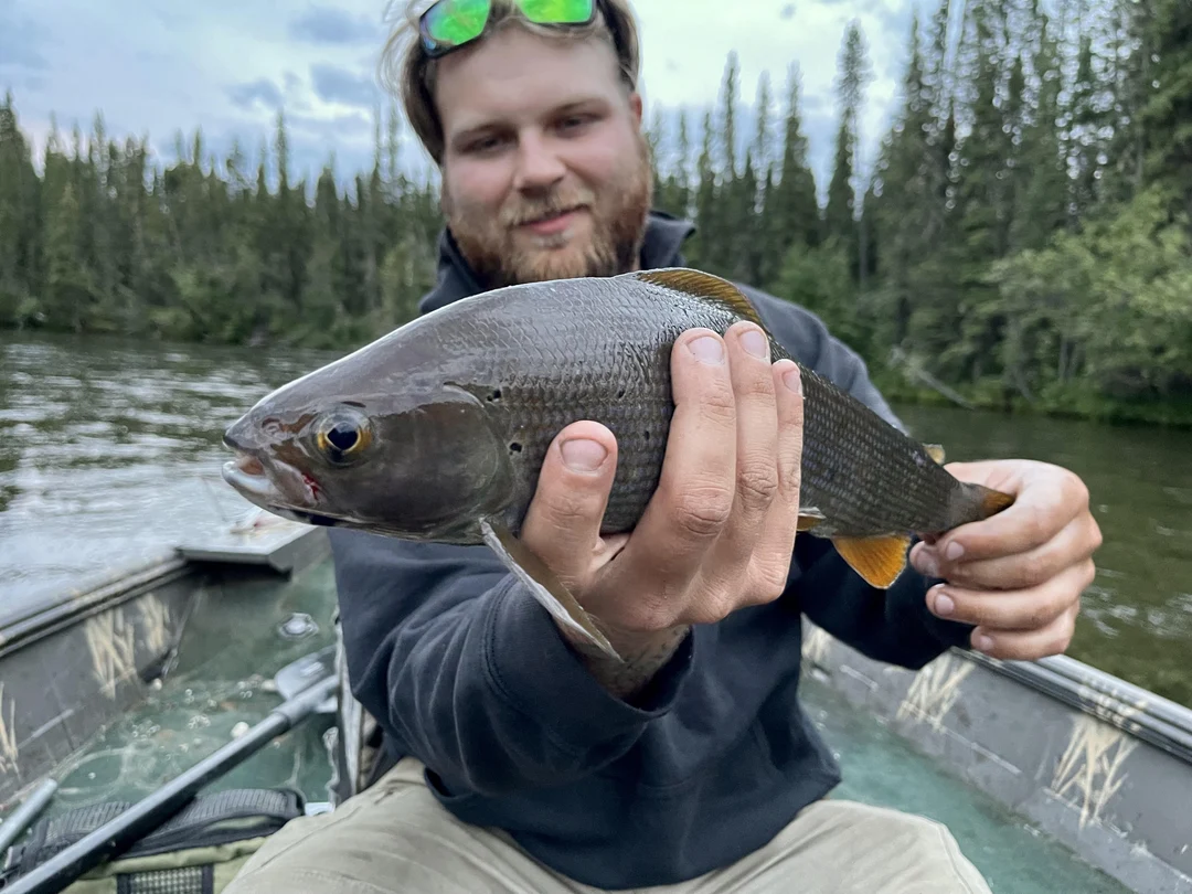 Sexy fish | Scrolller