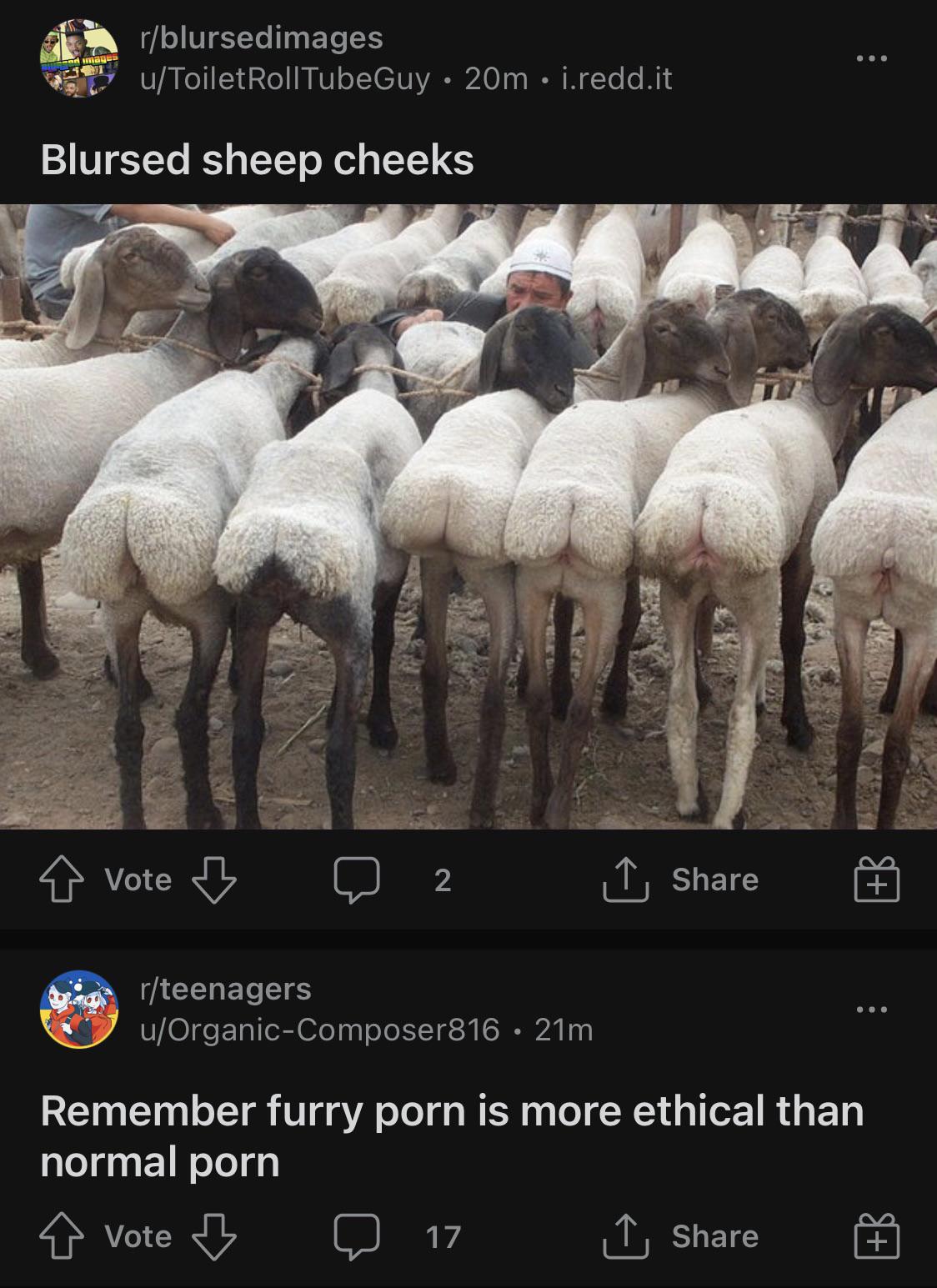 Failed NNN | Scrolller