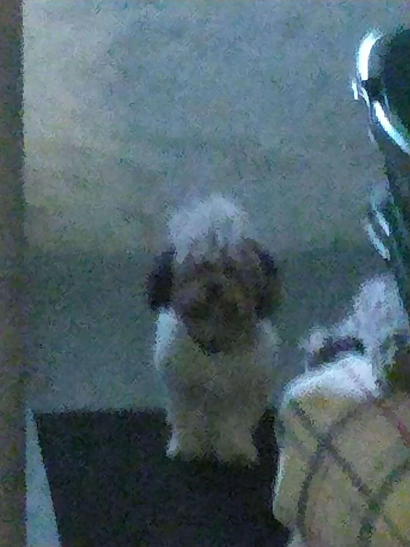 Jumpscare | Scrolller