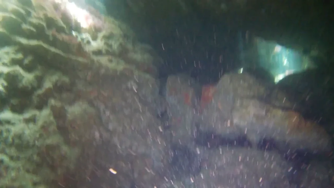 Seafan Grotto (cavern), Catalina Island | Scrolller