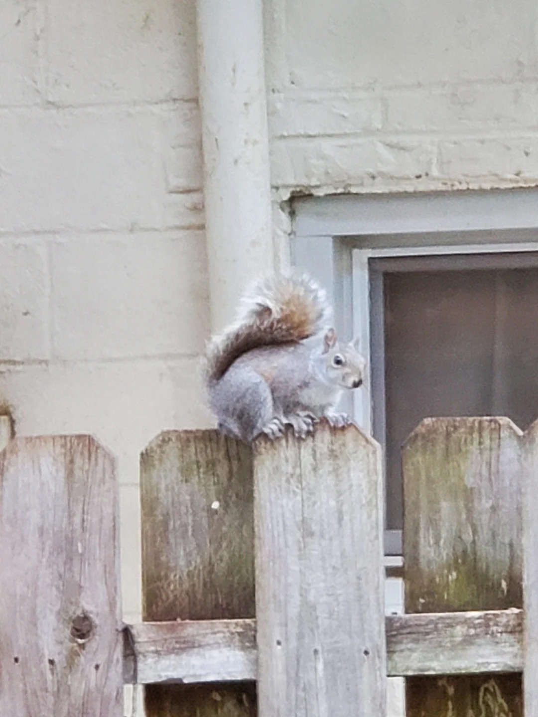 First photo of one of Picky's babies | Scrolller