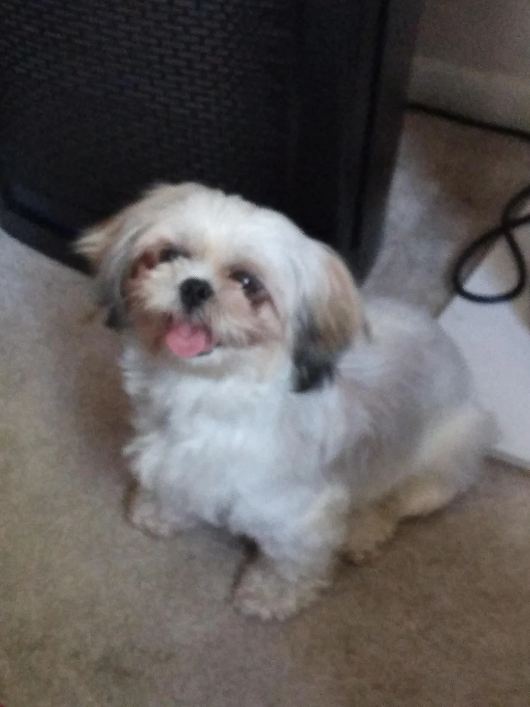 Signature Java smile | Scrolller