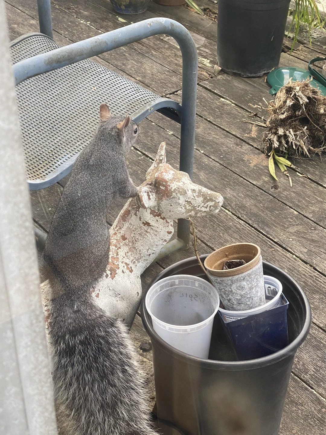 Daily visitor | Scrolller