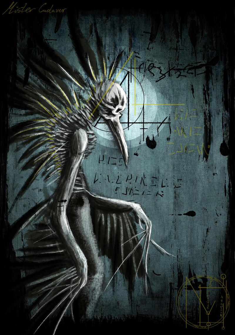 Wandering Crow by Mister Cadaver[oc] | Scrolller