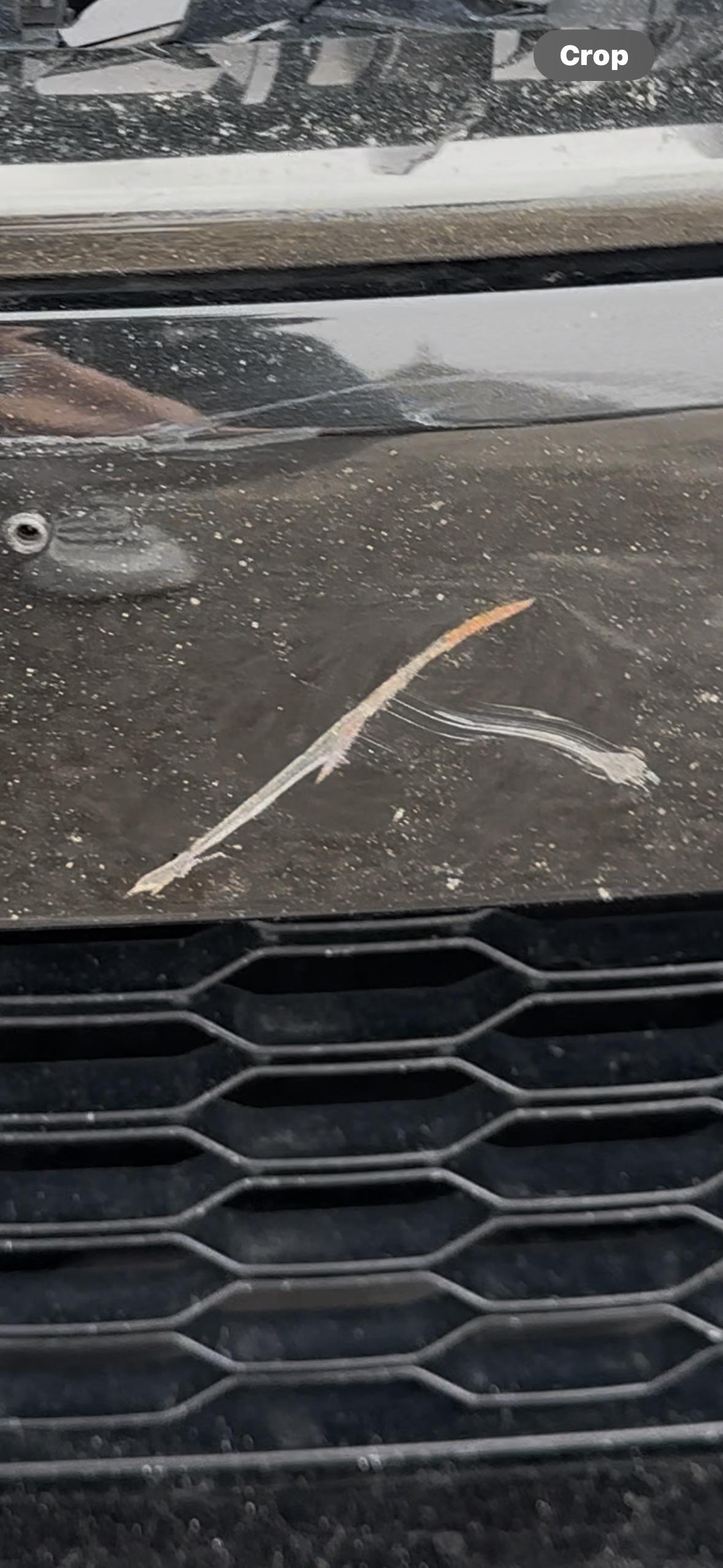 How to fix this deep scratch | Scrolller