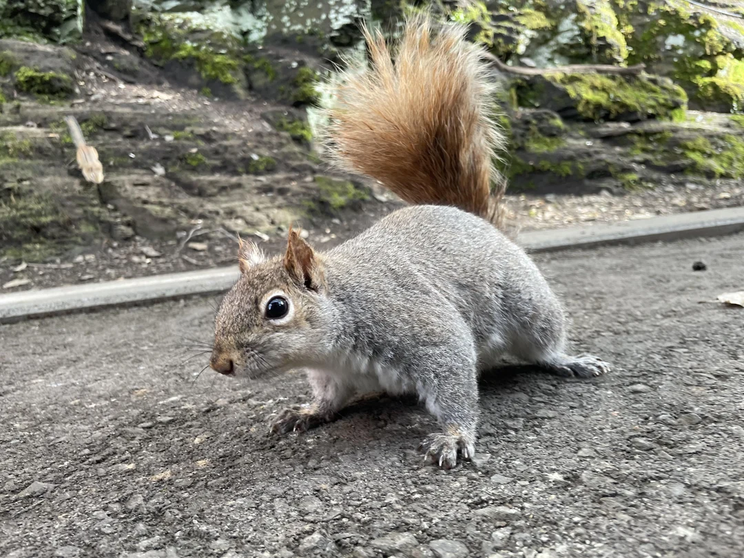 You gonna quit taking pictures now?? | Scrolller