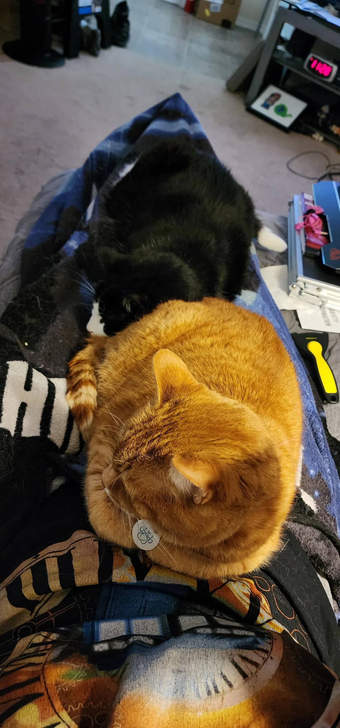 Double loaf! | Scrolller