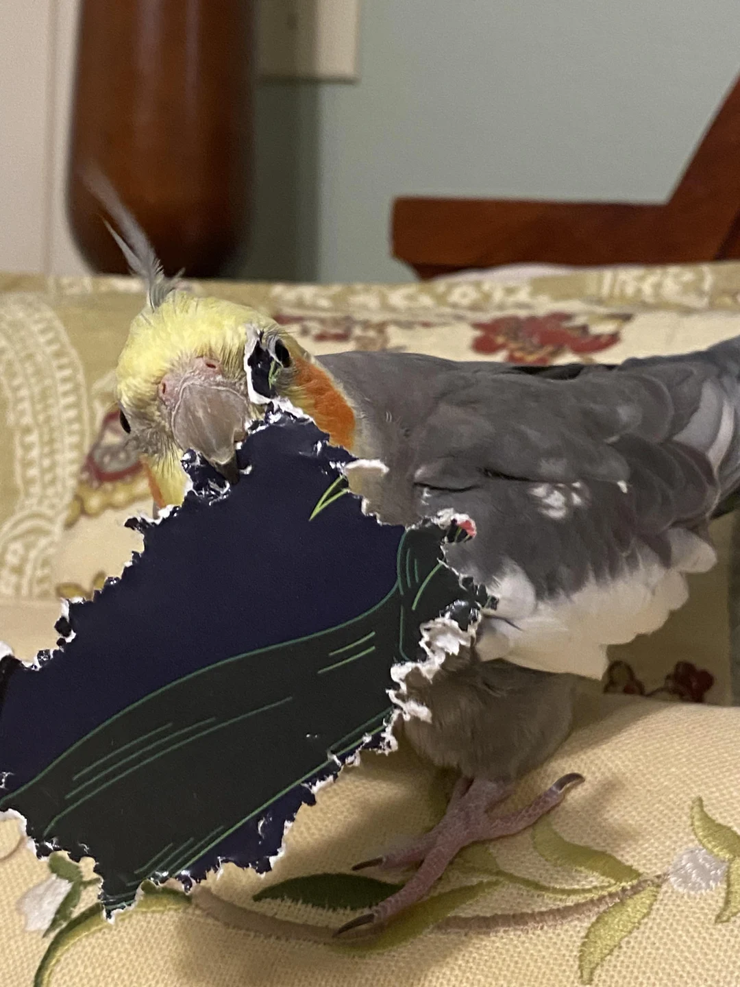 No bookmark is safe | Scrolller