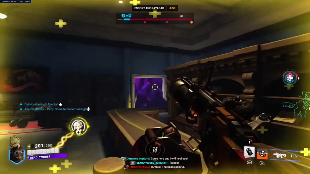 hazard ragdoll strikes a fresh pose | Scrolller