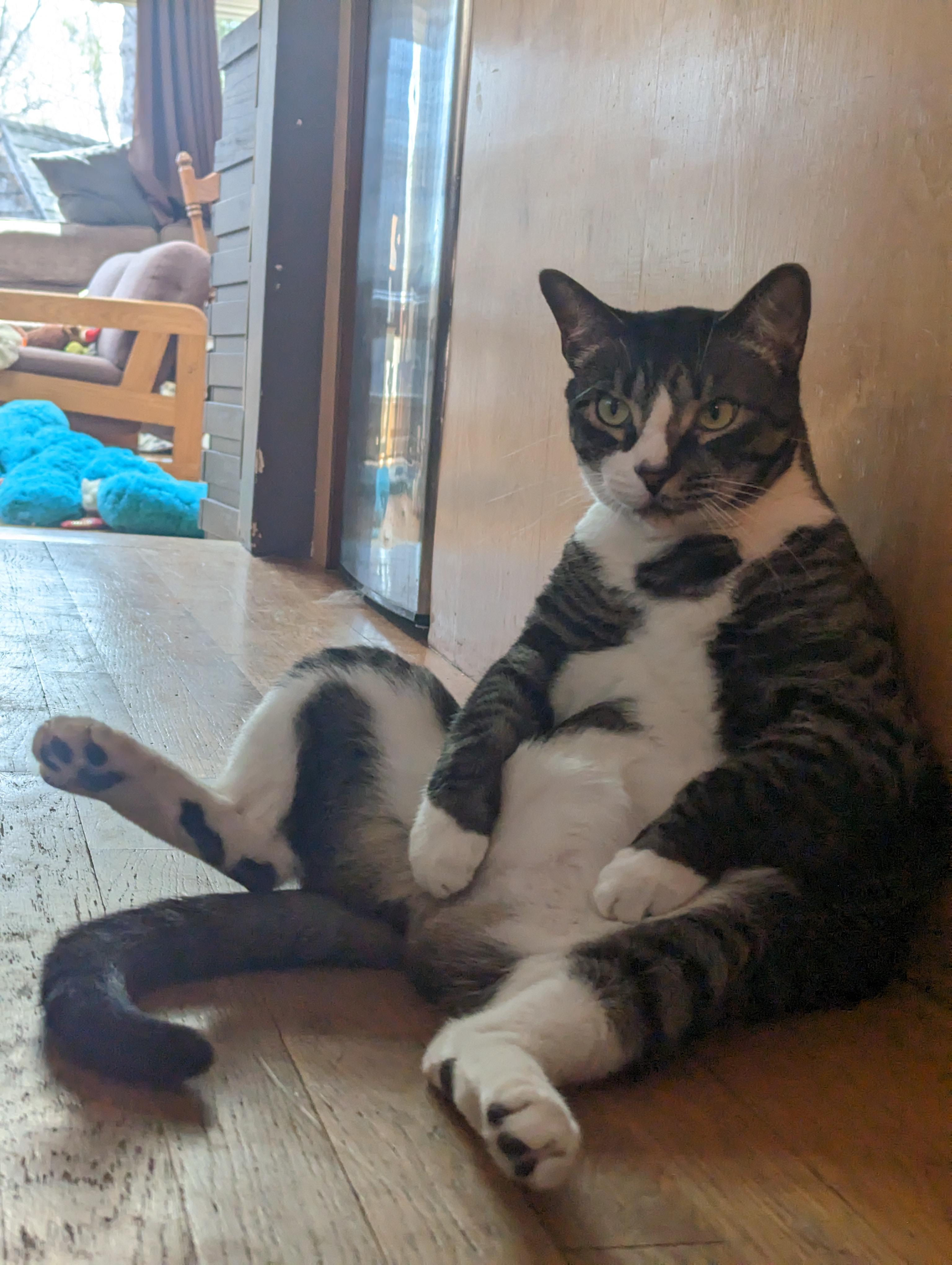 What do we think of this lump? | Scrolller