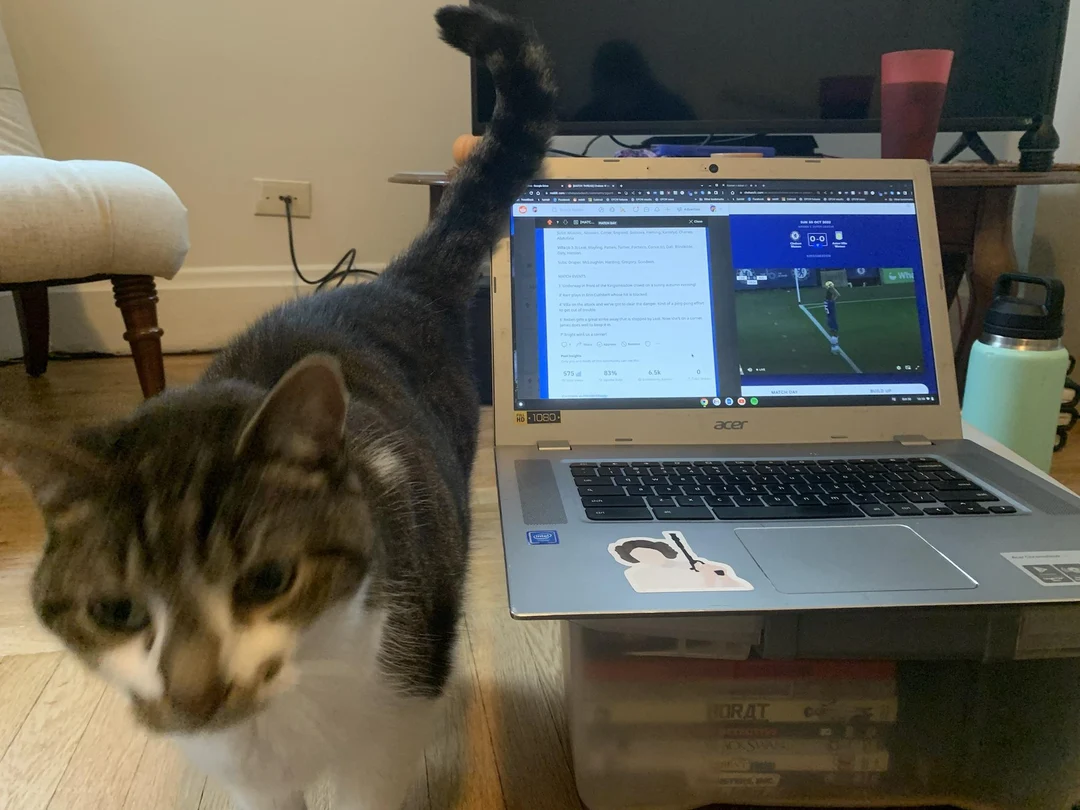 Sunday morning animals | Scrolller