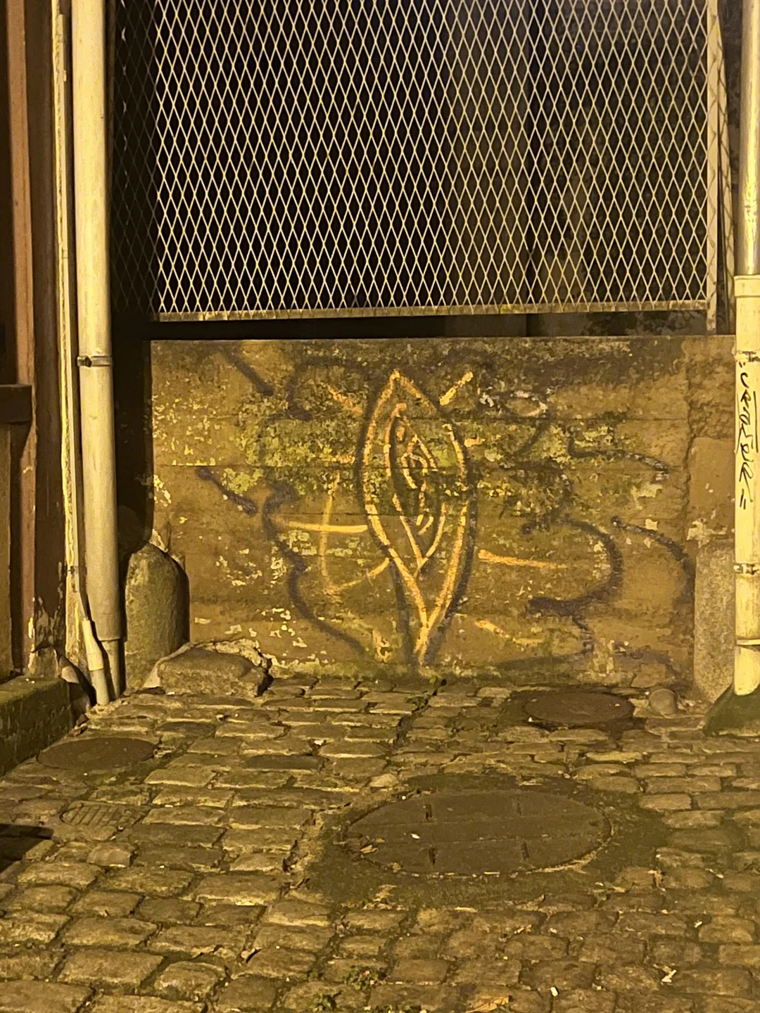 Don’t put your dick in that graffiti | Scrolller