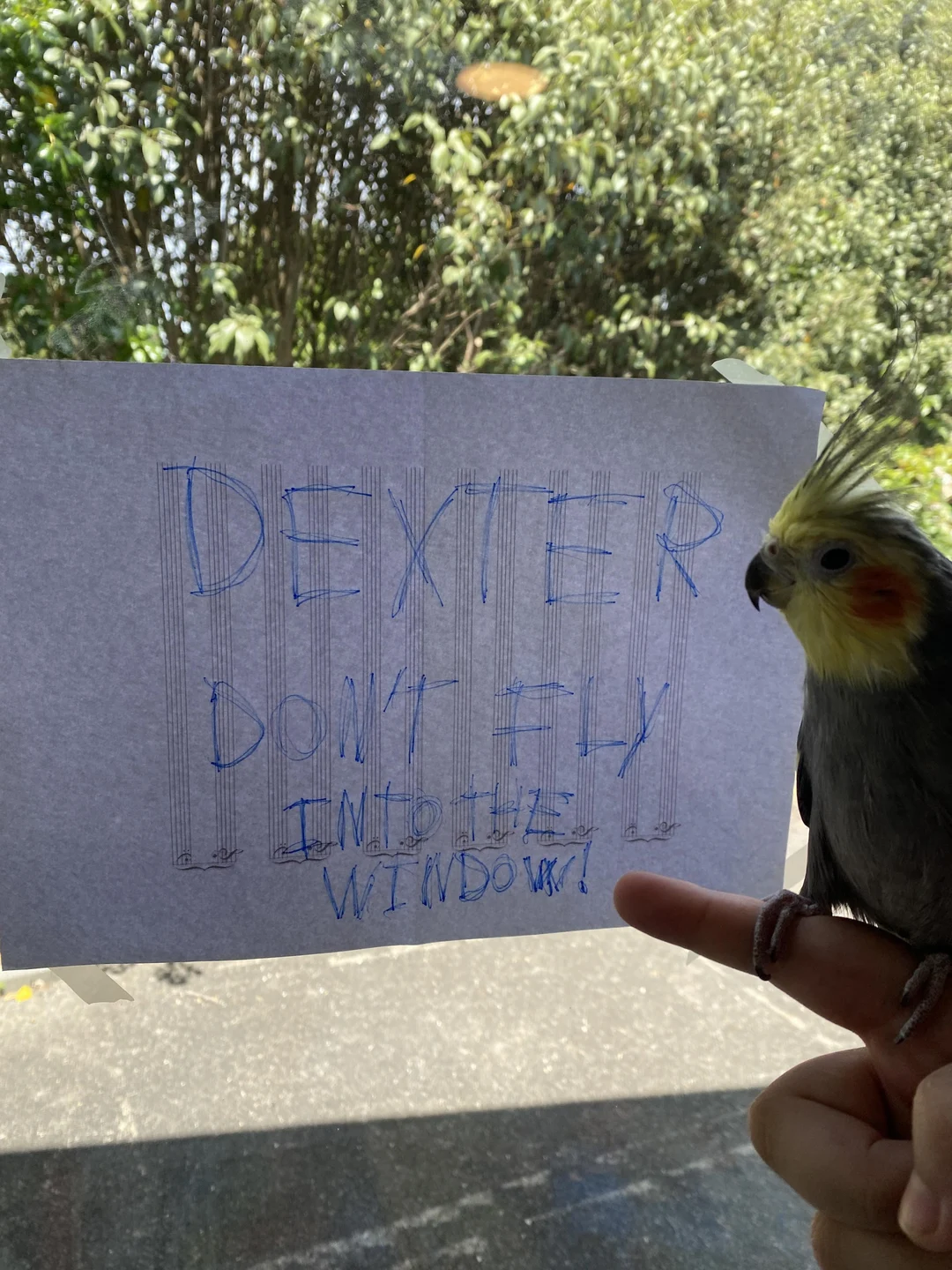 Dexter is not impressed | Scrolller