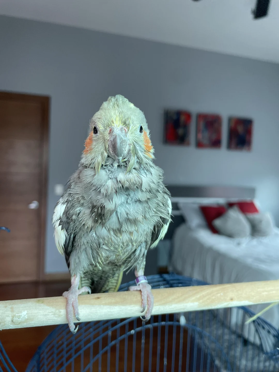 She doesn’t like baths | Scrolller