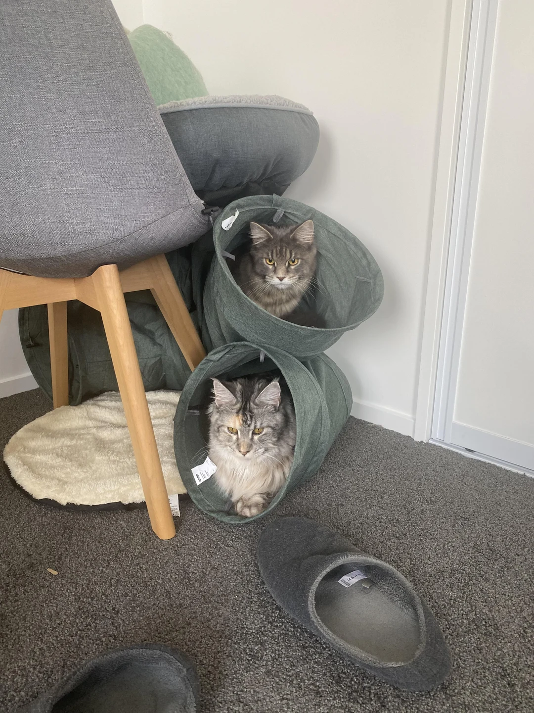 A double decker | Scrolller