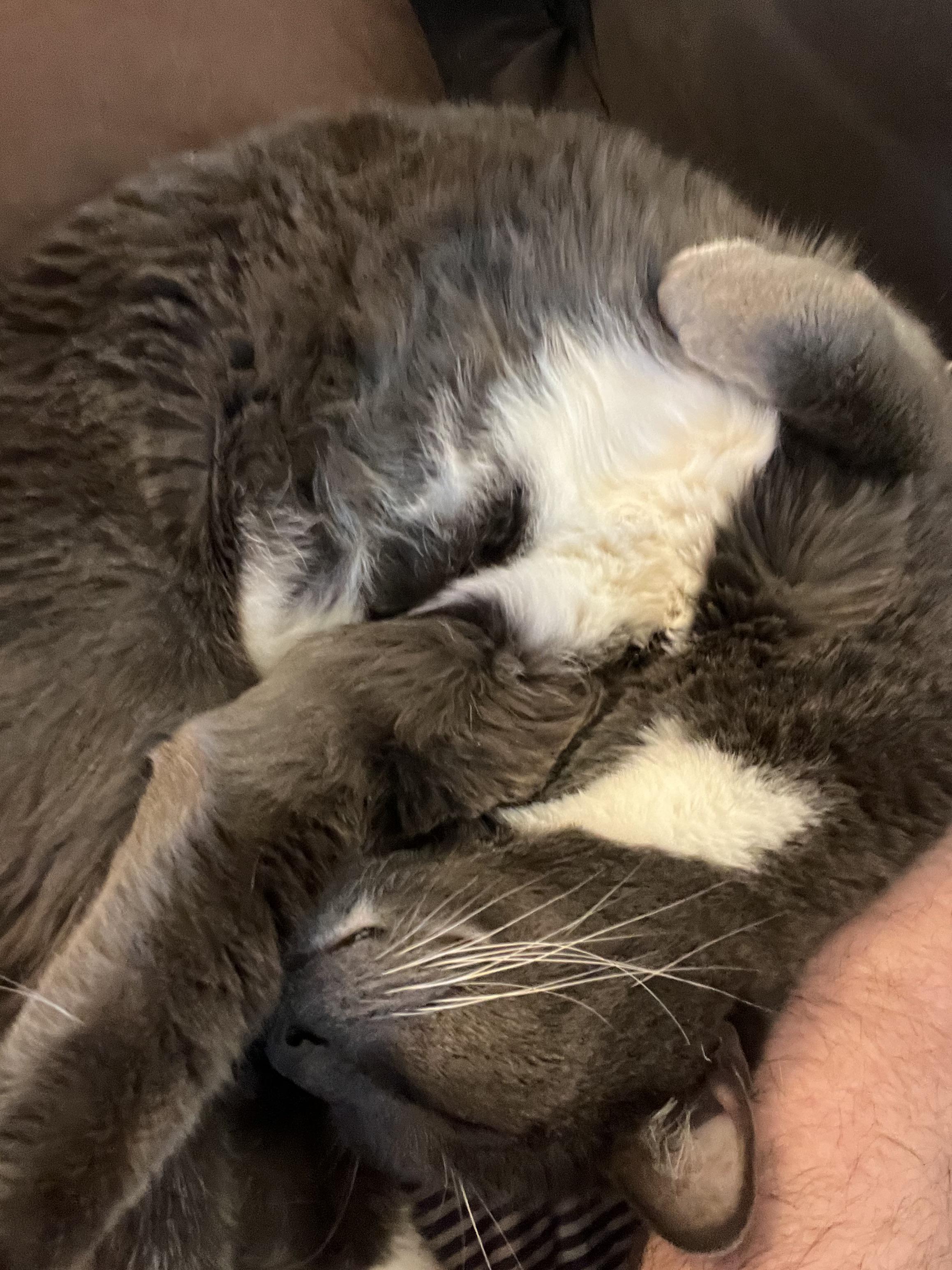 Chilling | Scrolller