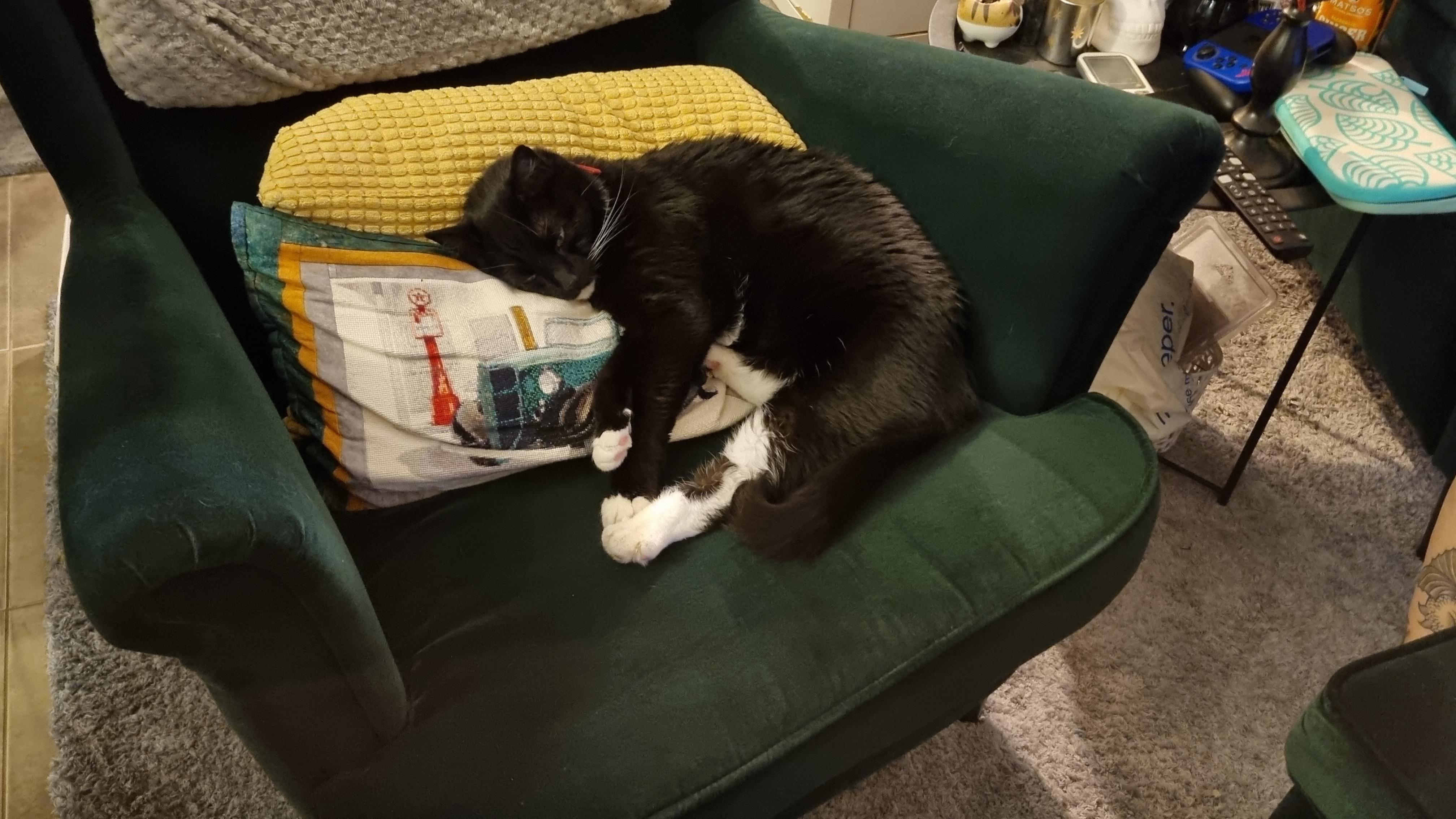 Mu cat cuddling the pillow my grandma made a couple of months before she passed | Scrolller