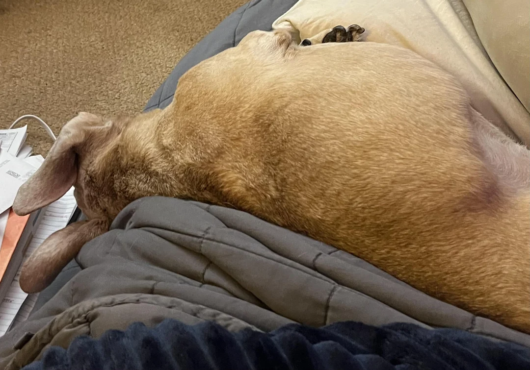 How is this comfortable???? | Scrolller