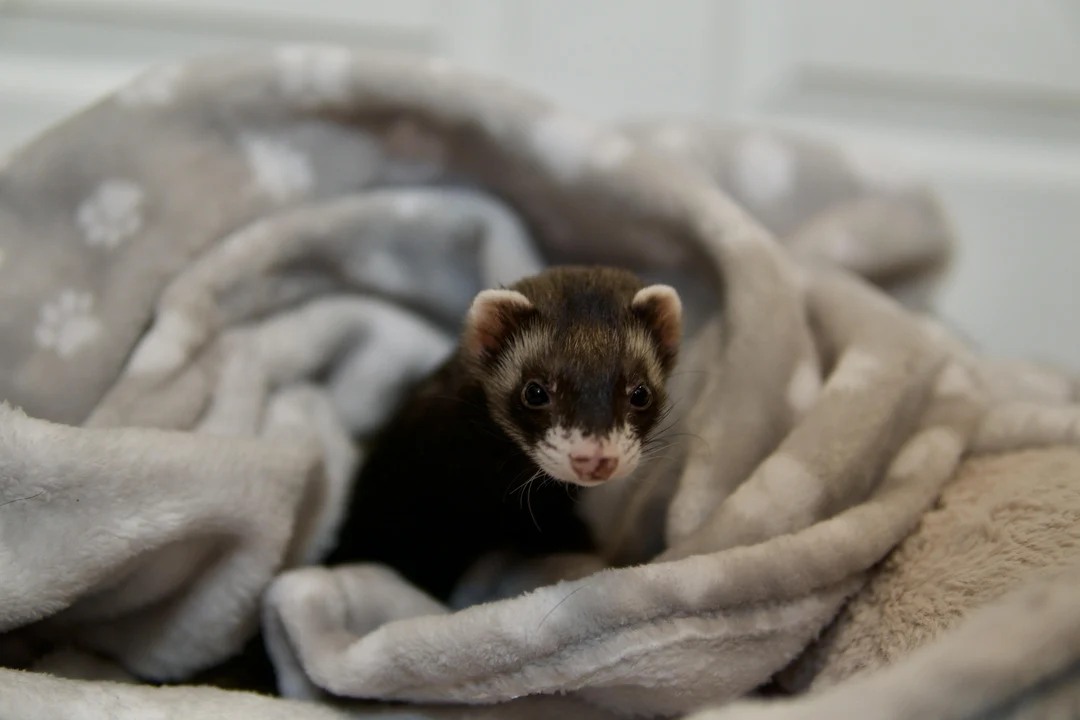 Winnie, my baby girl💕 | Scrolller