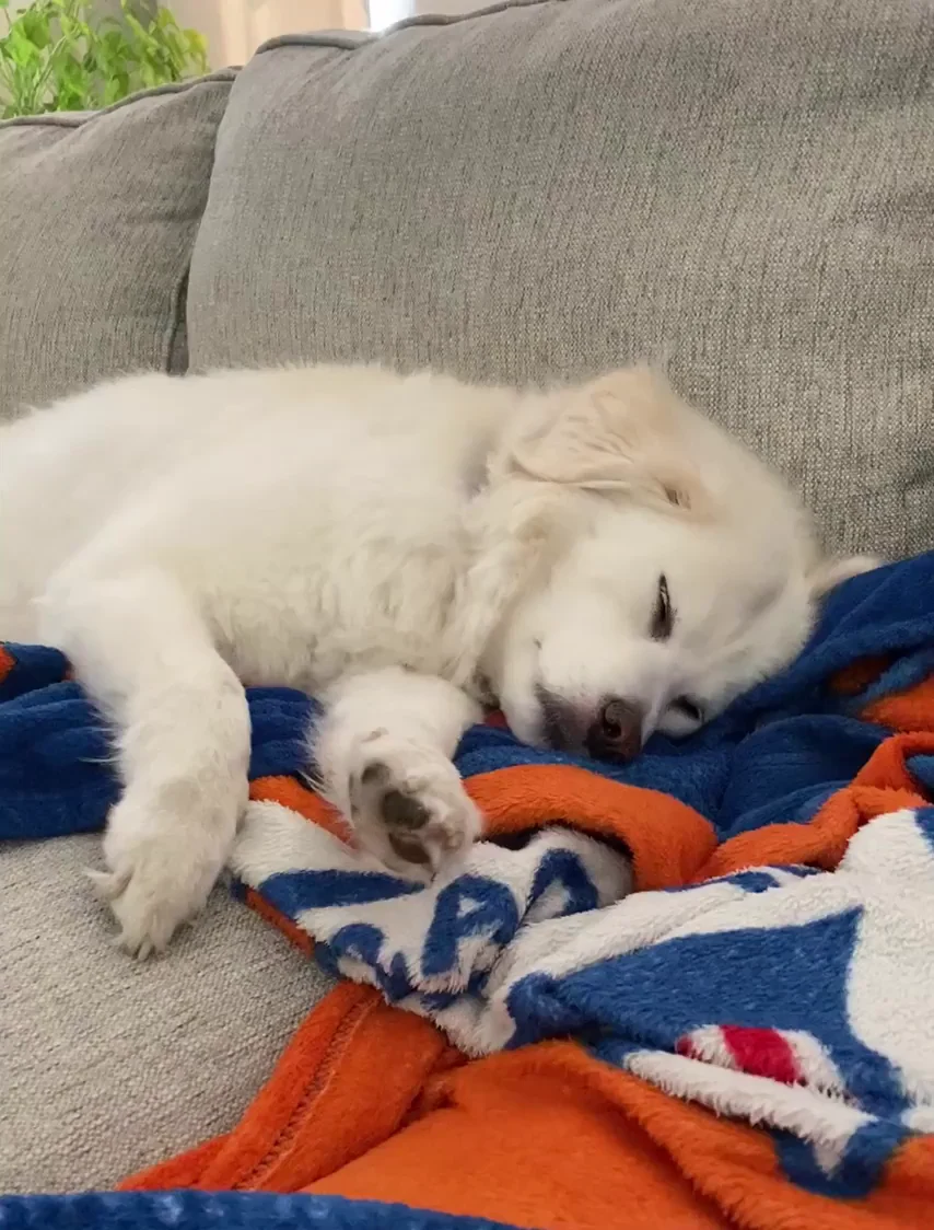 OC - Just a little wave | Scrolller