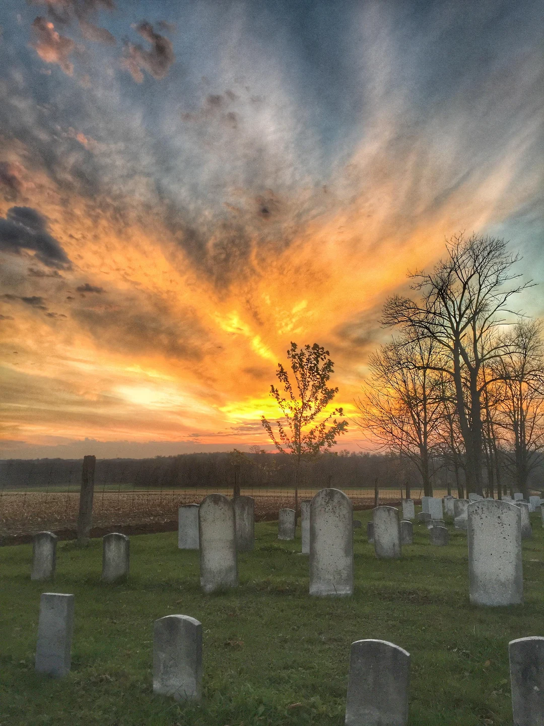 Phoenix rising. | Scrolller