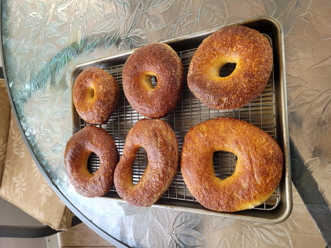 First attempt at making bagels - Fail | Scrolller