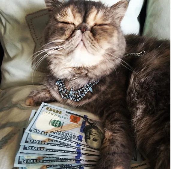 stacking them benjamins | Scrolller