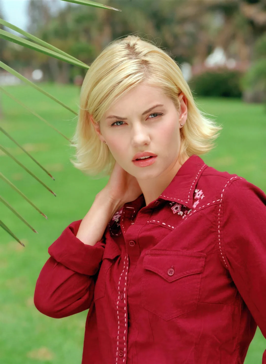 Elisha Cuthbert | Scrolller