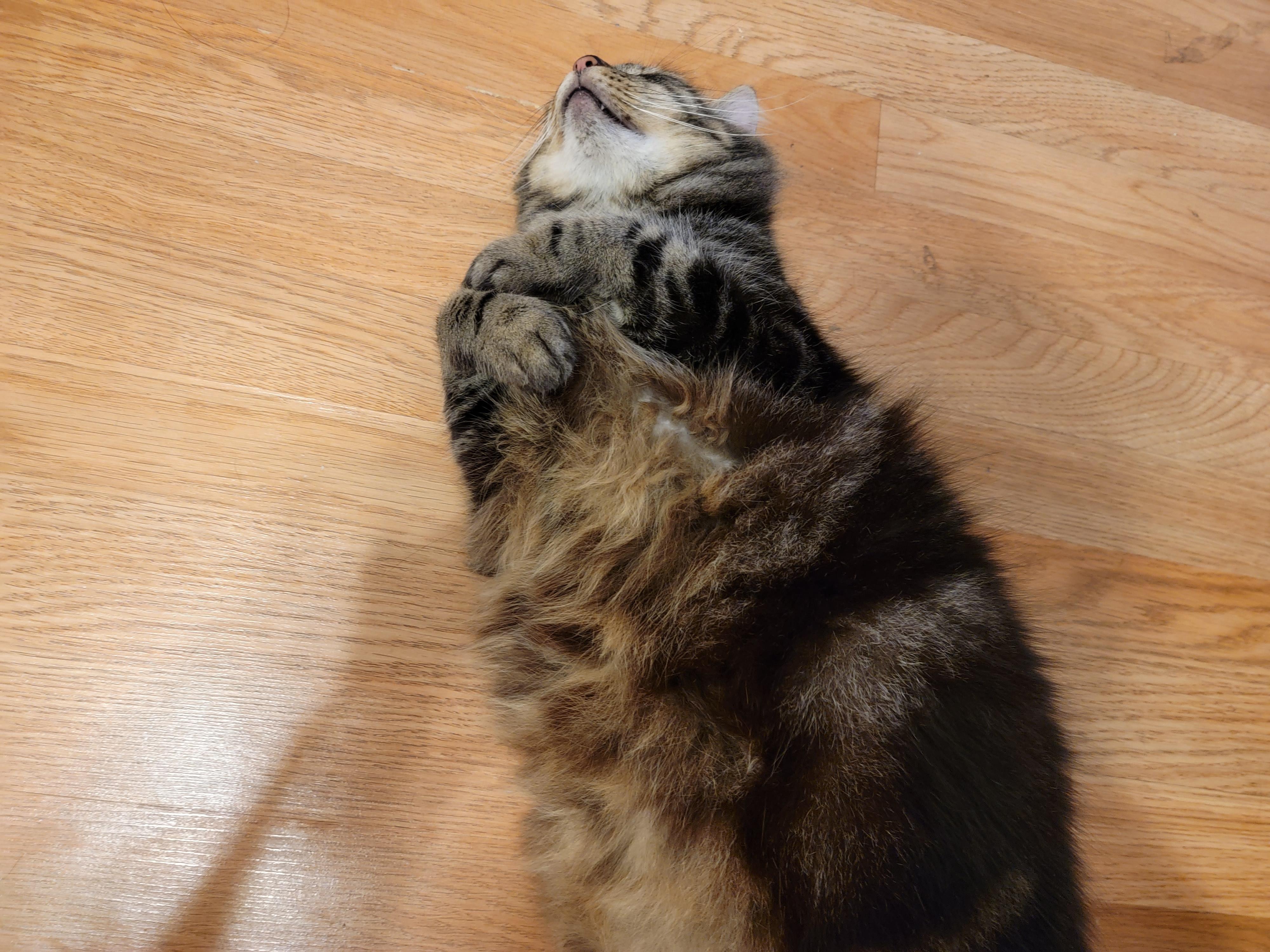 My Immortal | Scrolller